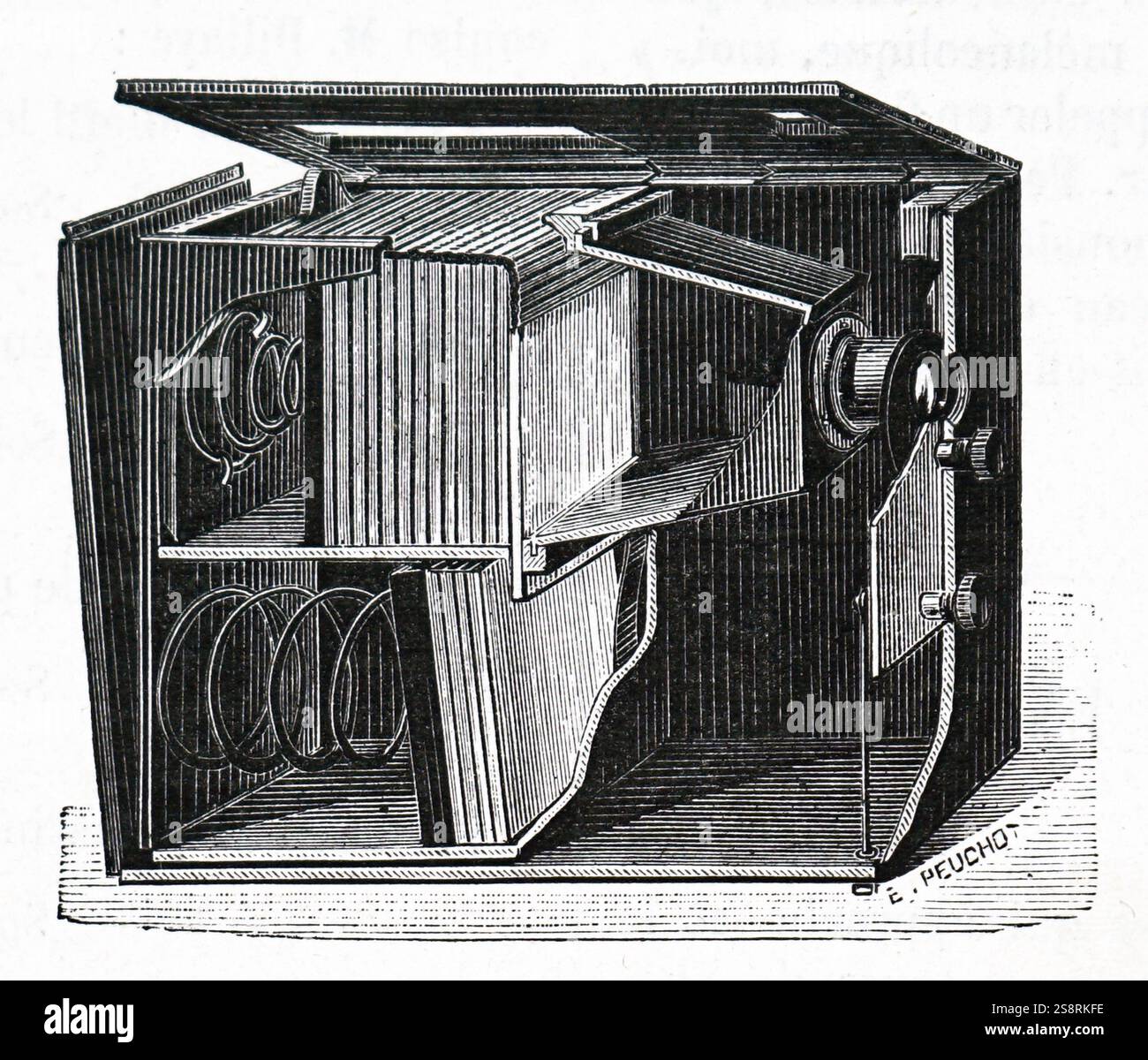 Engraving depicting a hunting camera. Dated 19th Century Stock Photo ...
