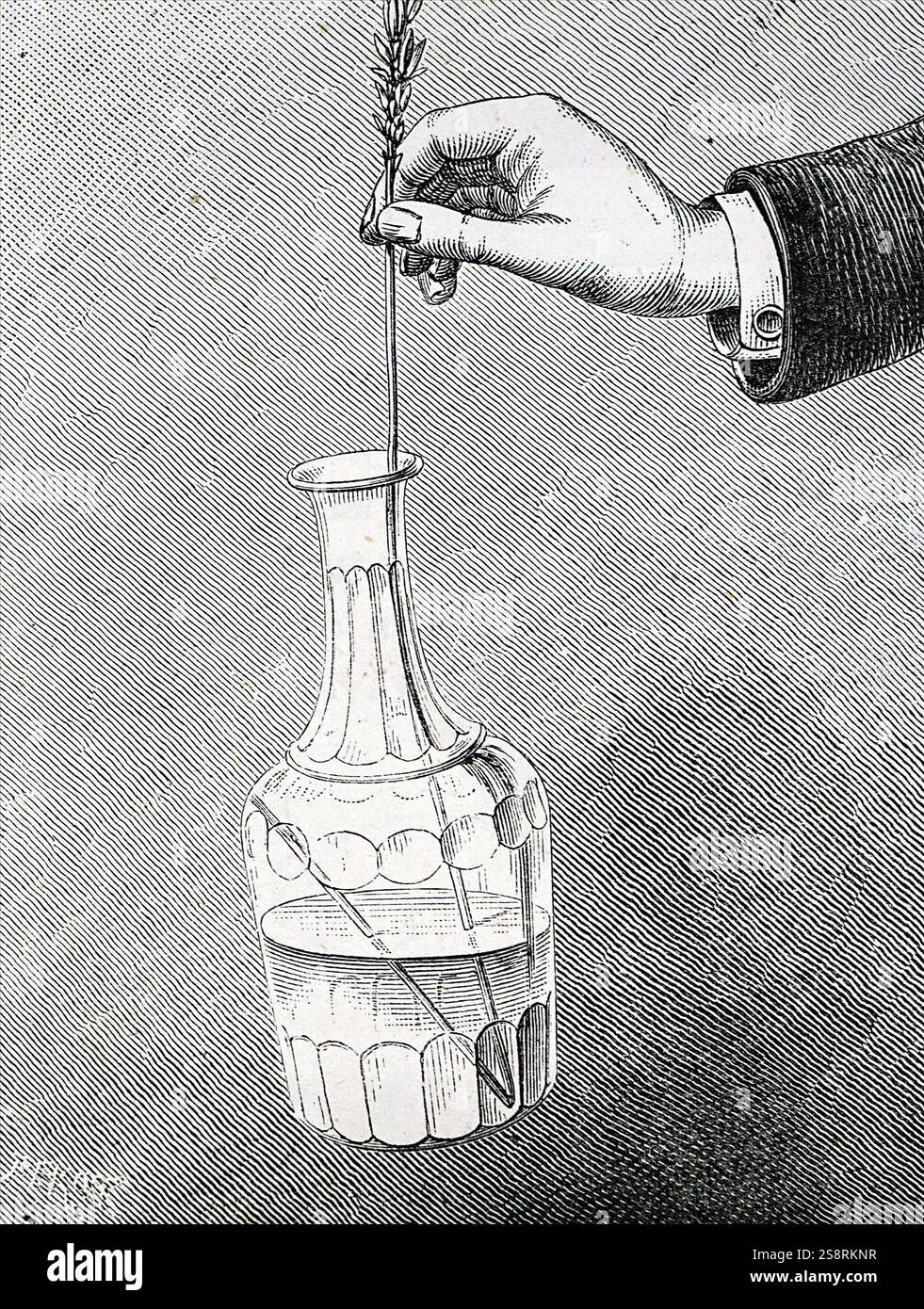 Engraving depicting an experiment that demonstrates the centre of ...