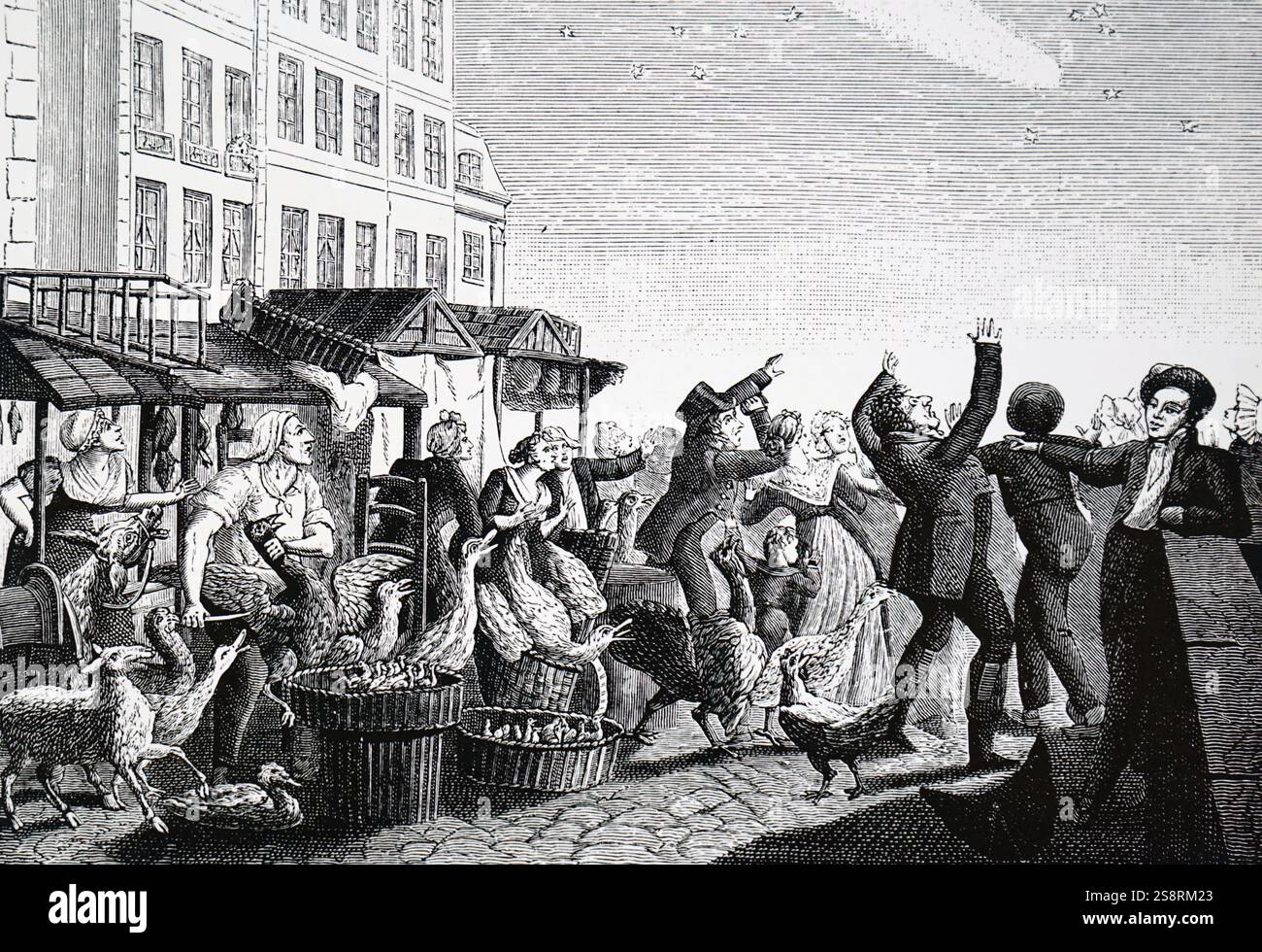 Engraving depicting the Great Comet of 1811. Dated 19th Century Stock ...