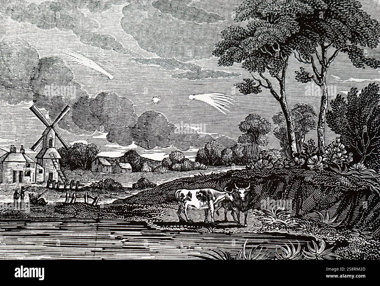 Engraving depicting various types of comets flying through the night ...