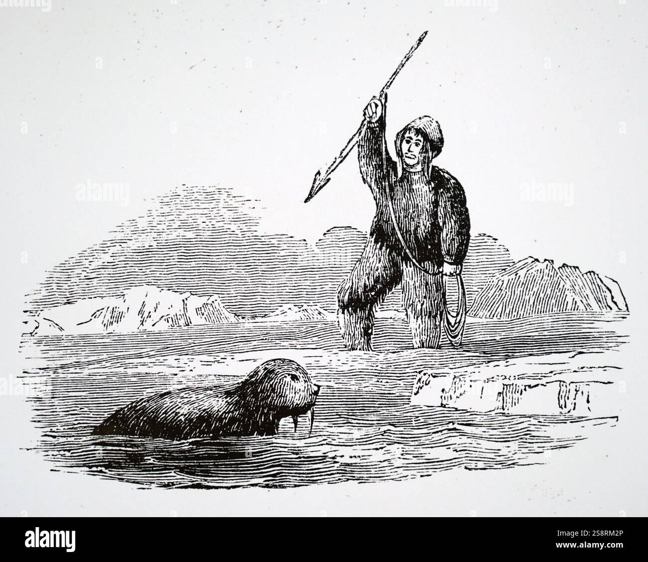 Engraving depicting an Eskimo hunting a seal. The Eskimo are the ...