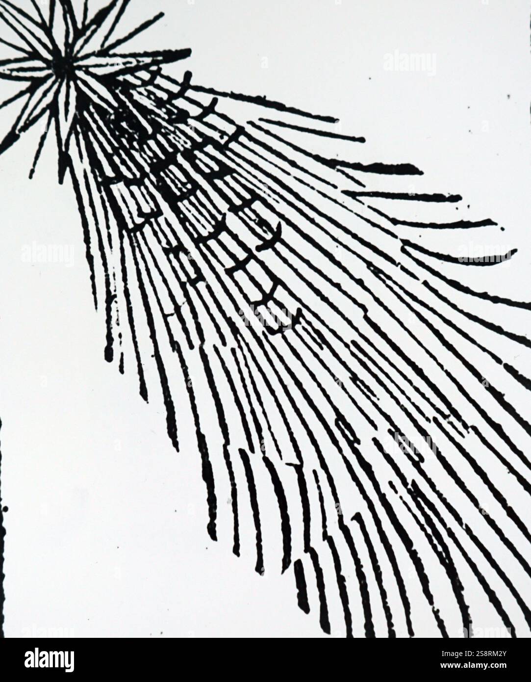 Engraving depicting a bright comet flying over Europe during the 14th ...