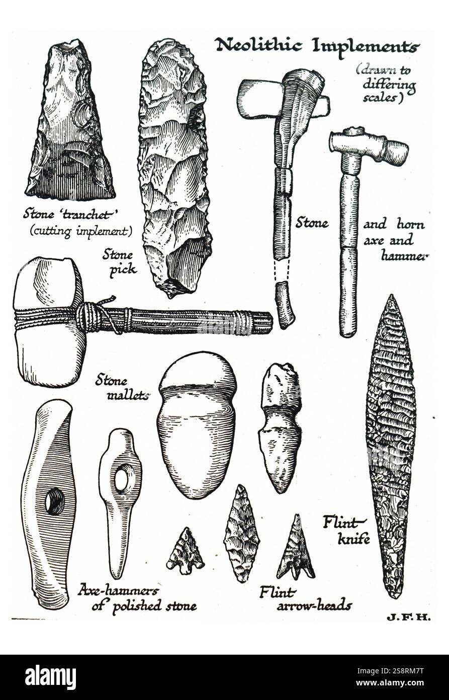 Engraving depicting Neolithic Implements including a stone tranchet ...