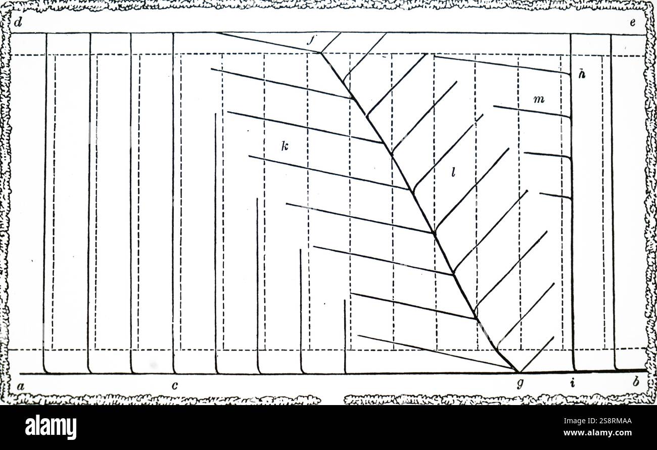 Engraving depicting a ground plan for drainage of a field. A,b) main ...