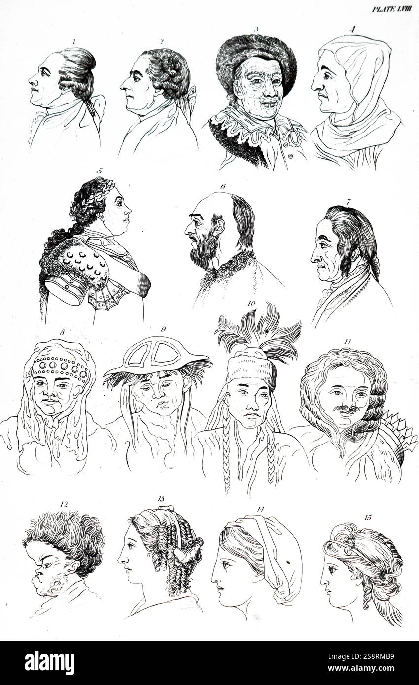 Engraving depicting profiles of different racial types. Dated 19th ...