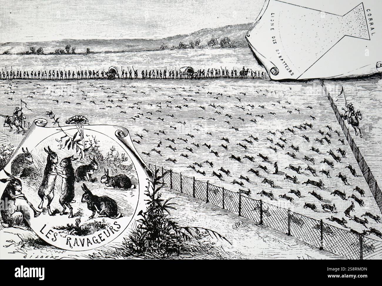 Engraving depicting a rabbit drive in California. This was the main way ...