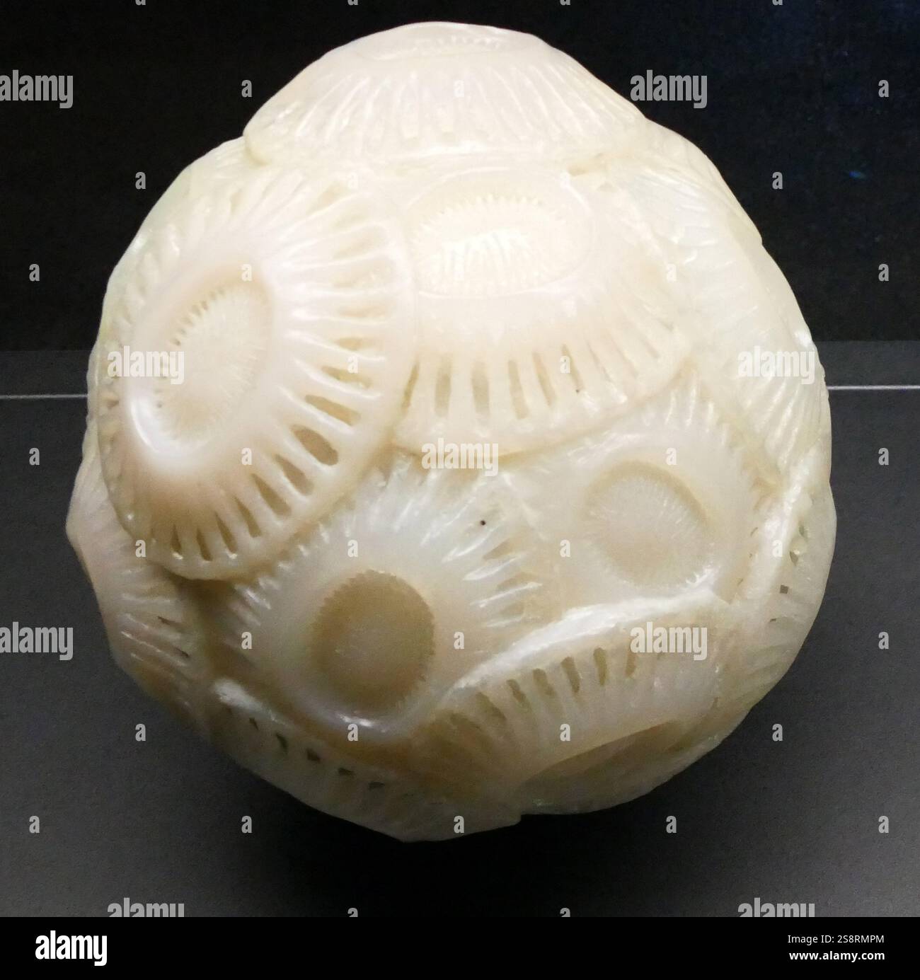 Model of a Diatom, a major group of algae. Dated 21st Century Stock ...