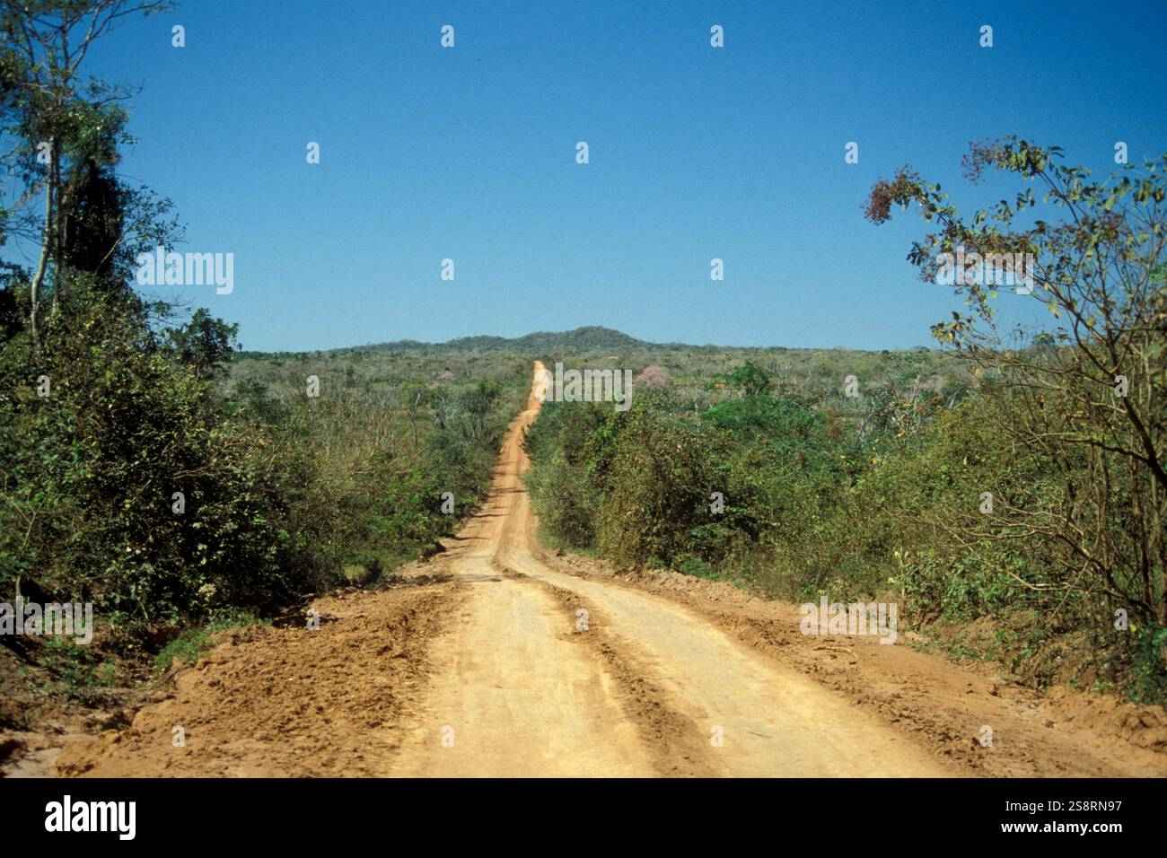 Bolivian portraits hi-res stock photography and images - Alamy