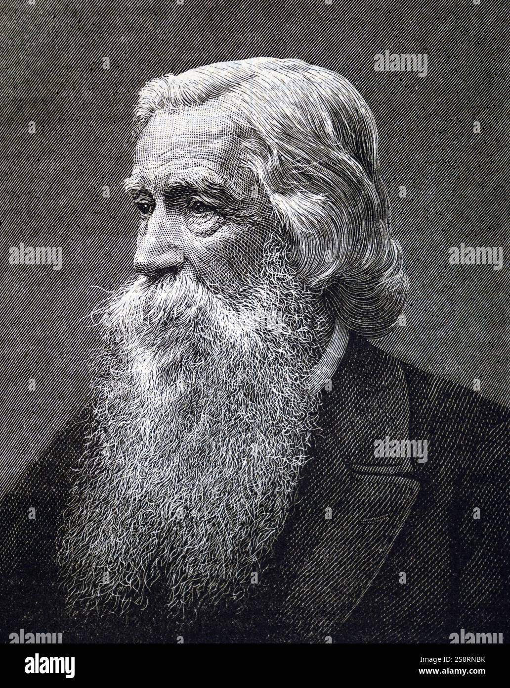 Portrait of John Gibson Paton (1824-1907) a Protestant missionary to ...
