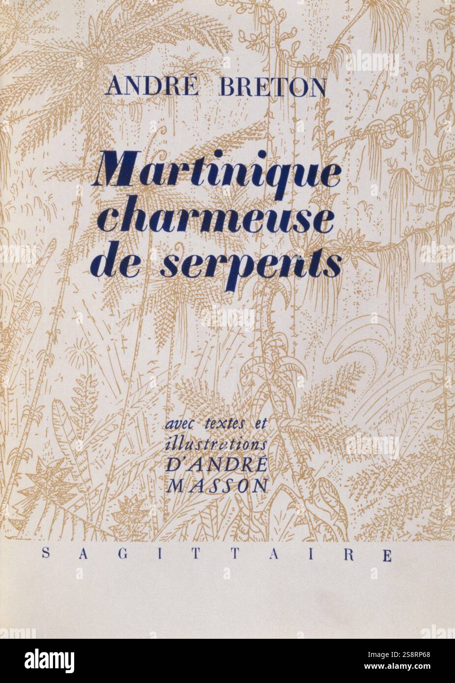 Illustration from 'Martinique, Snake Charmer' (Martinique, Charmeuse de ...