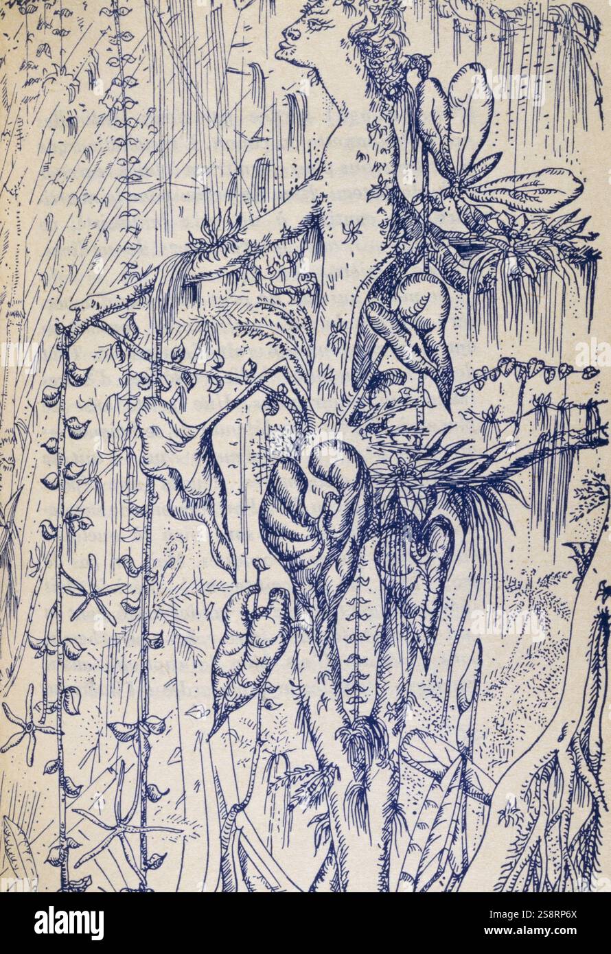 Illustration from 'Martinique, Snake Charmer' (Martinique, Charmeuse de ...