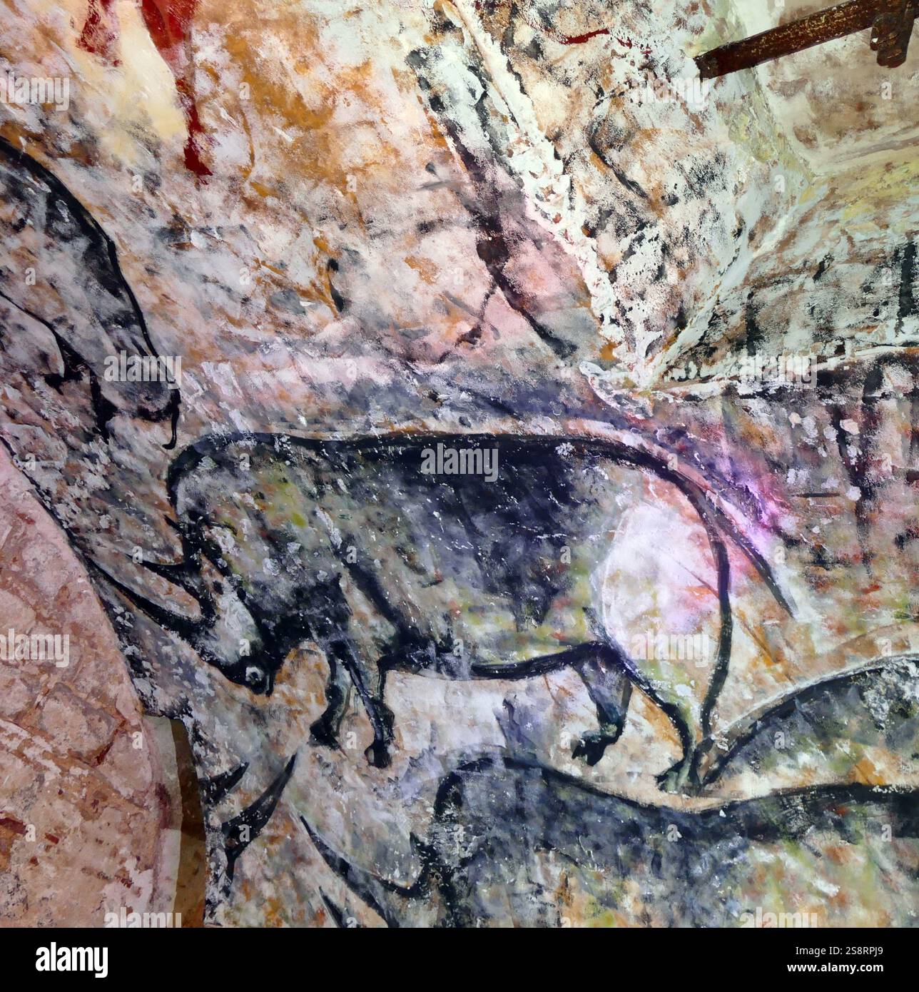 Replica painting from the Cave of Altamira (Cueva de Altamir) located ...