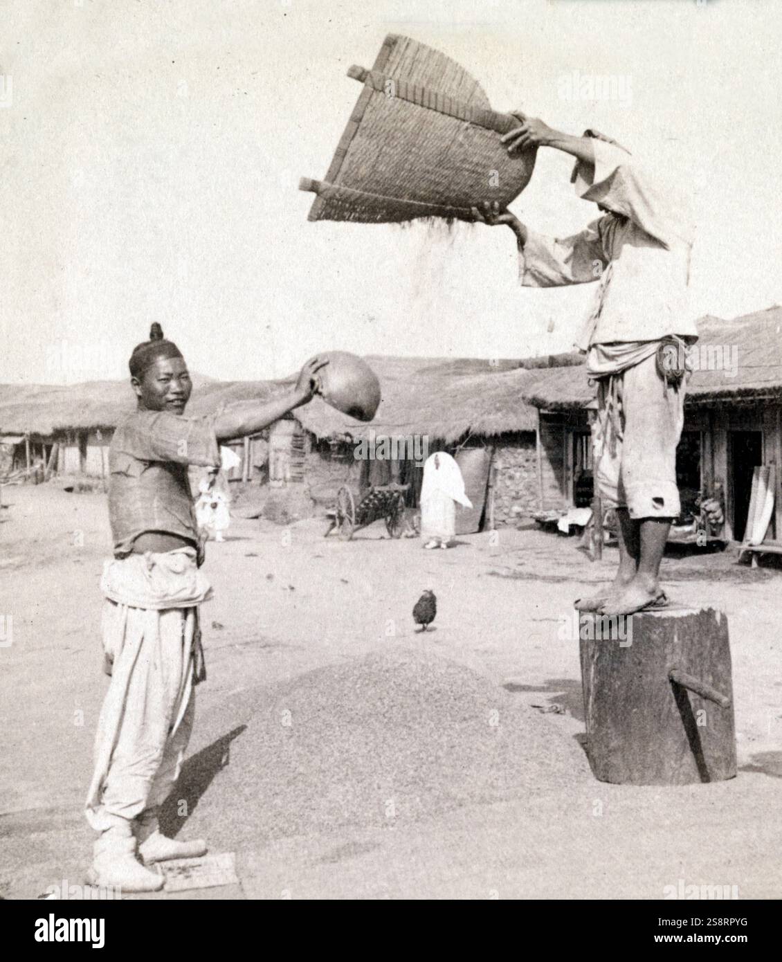 winnowing barley in the streets of Chemulop, Korea. Joseon Era Stock ...