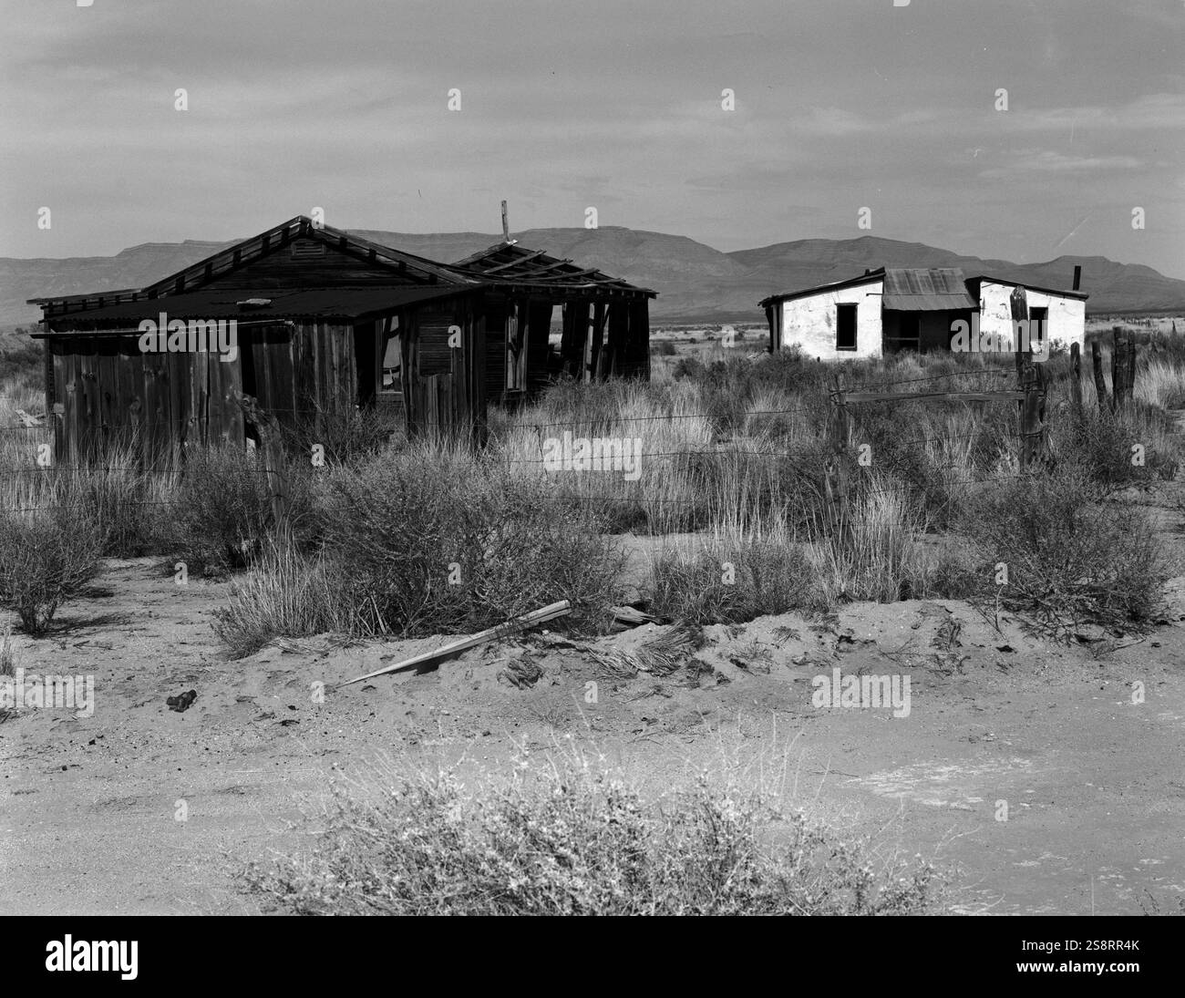 The first atomic bomb (code named Trinity) was test detonated at ...