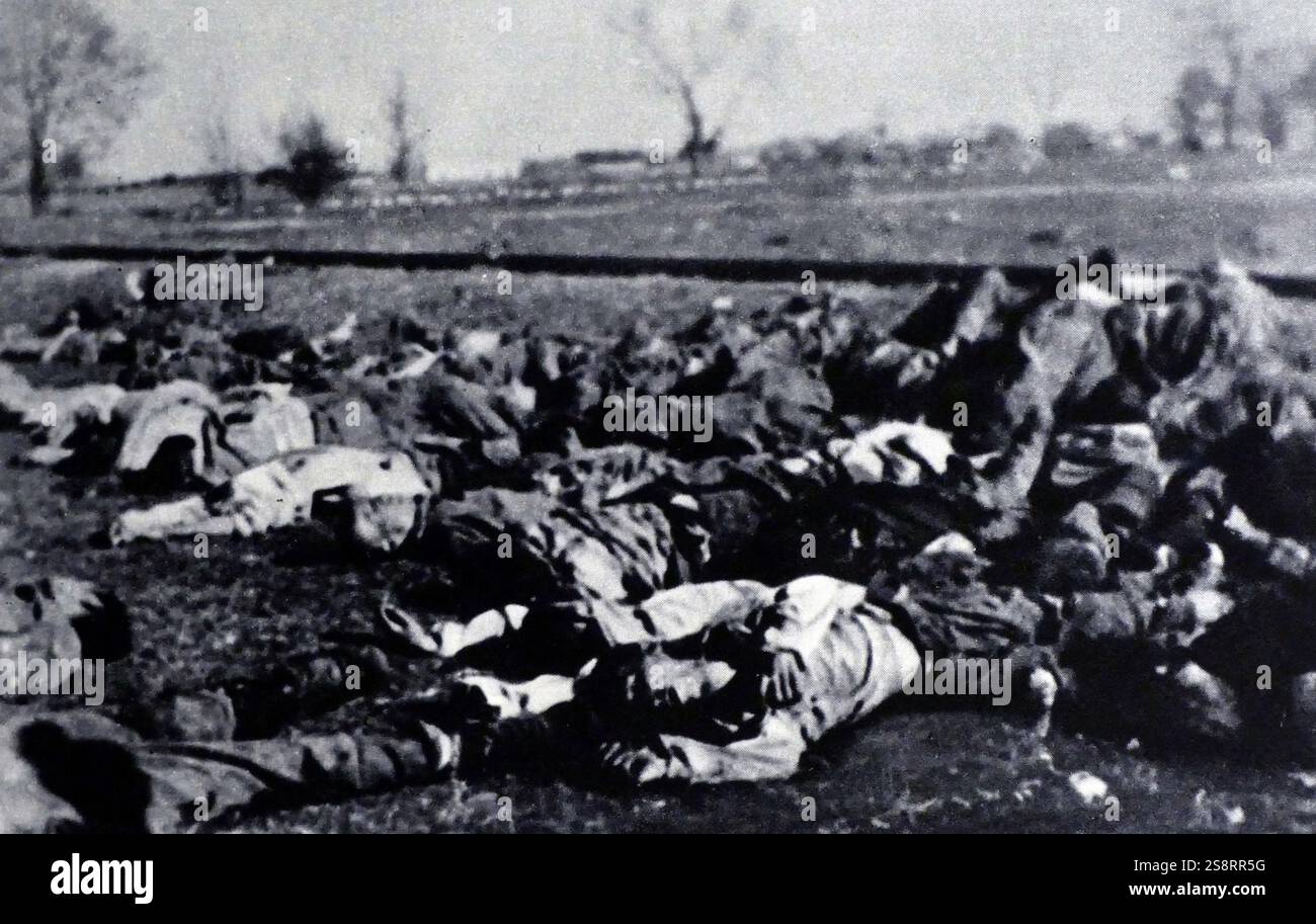 Massacre of Jews by Nazis during their deportation from Lódz Ghetto in ...