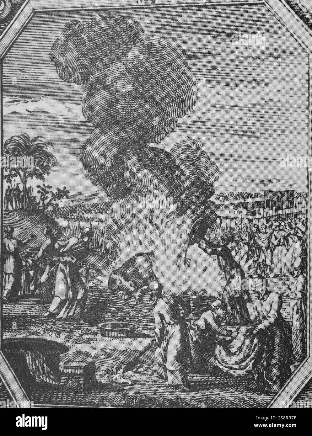 Engraving for the tractate Parah, which deals with the ritual burning ...