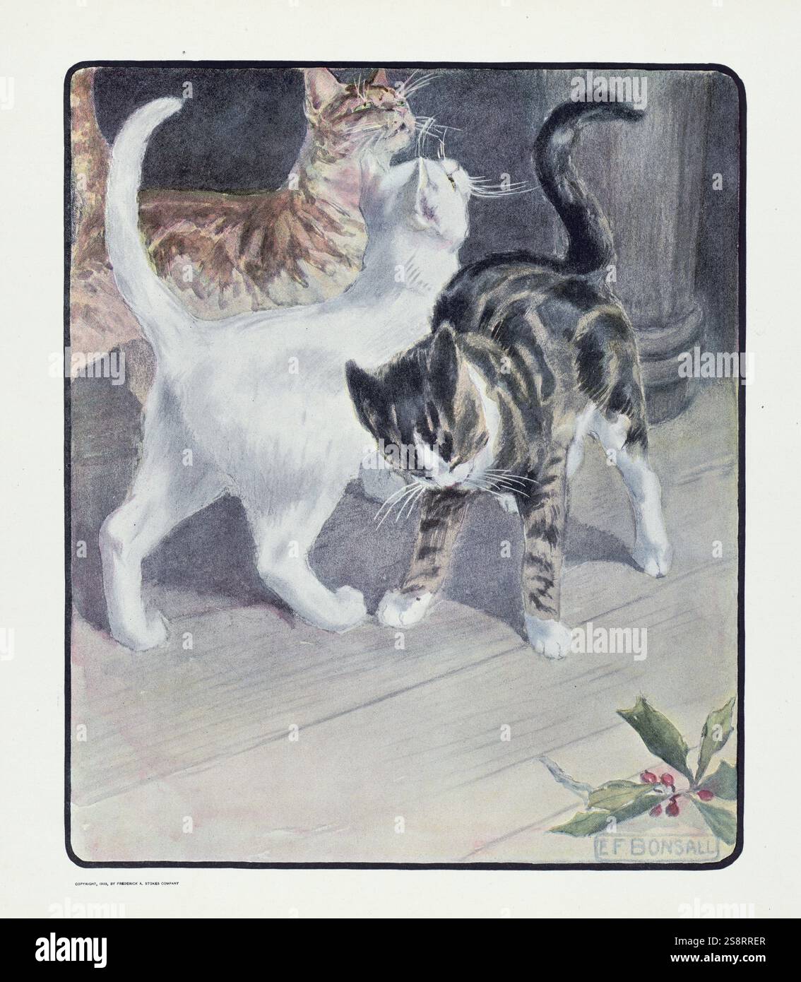 The book of the cat with facsimiles of drawings in colour. By Elisabeth ...
