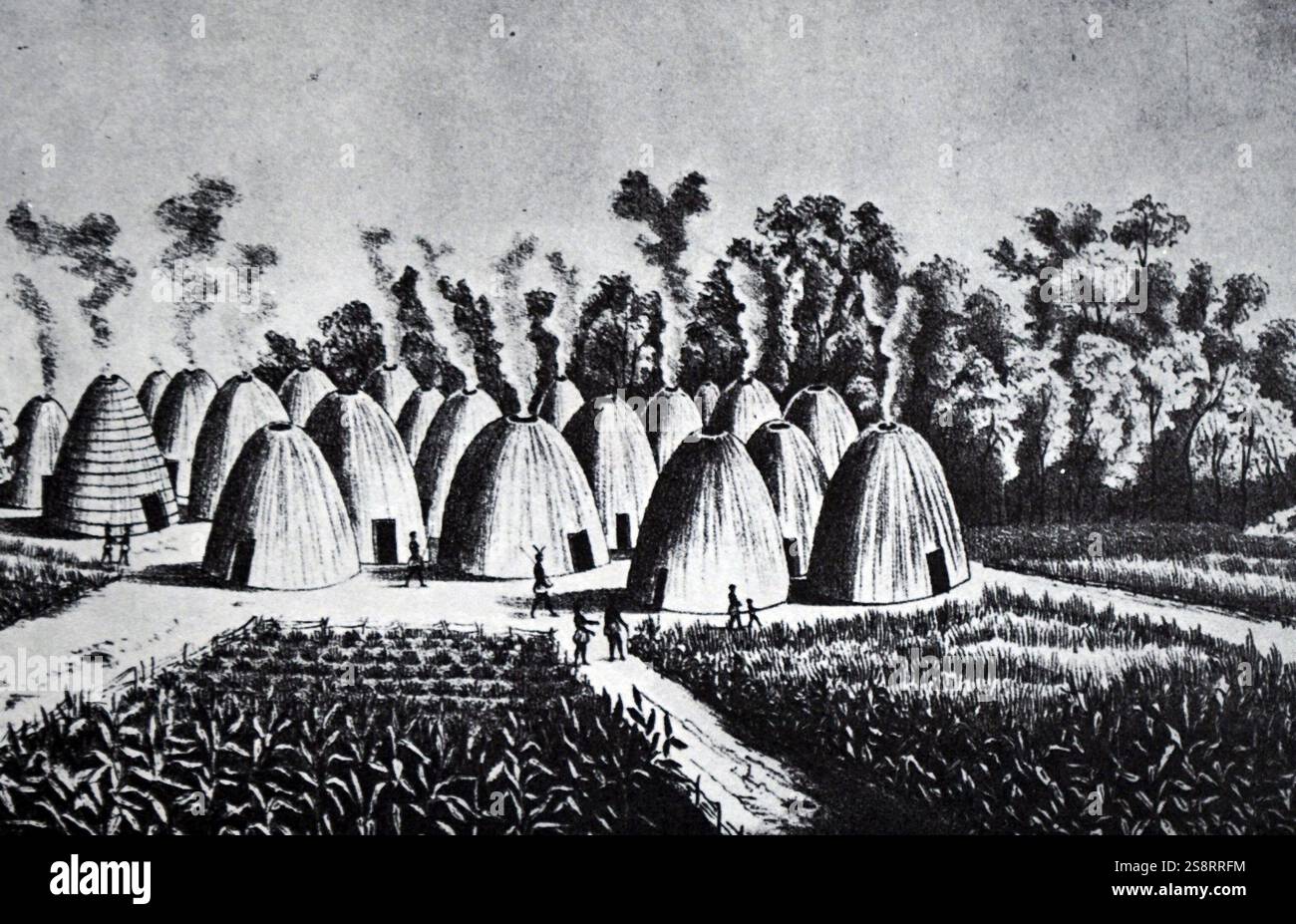 Francisco vasquez coronado hi-res stock photography and images - Alamy