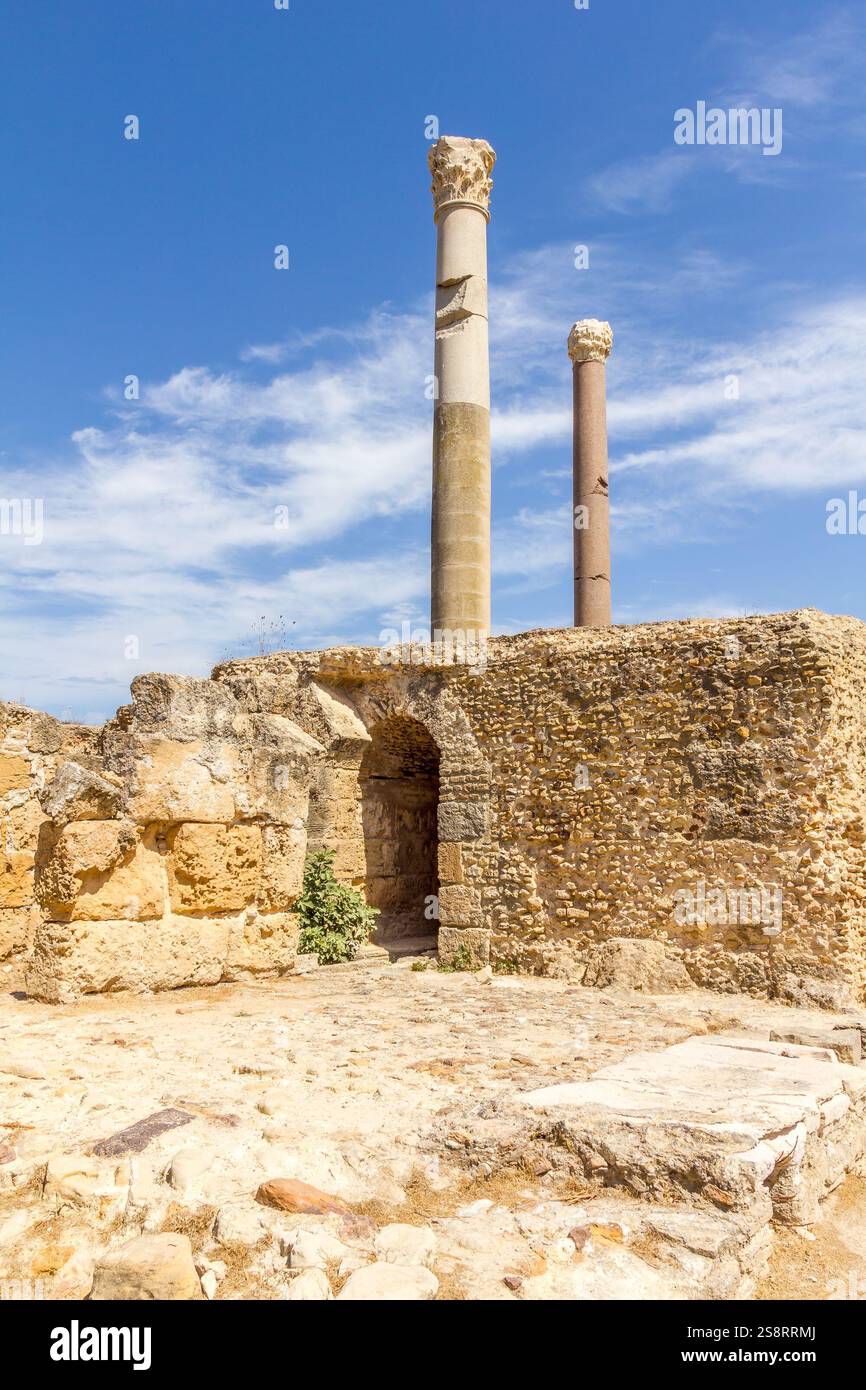 Archaeological site of Carthage, Tunisia Stock Photo - Alamy