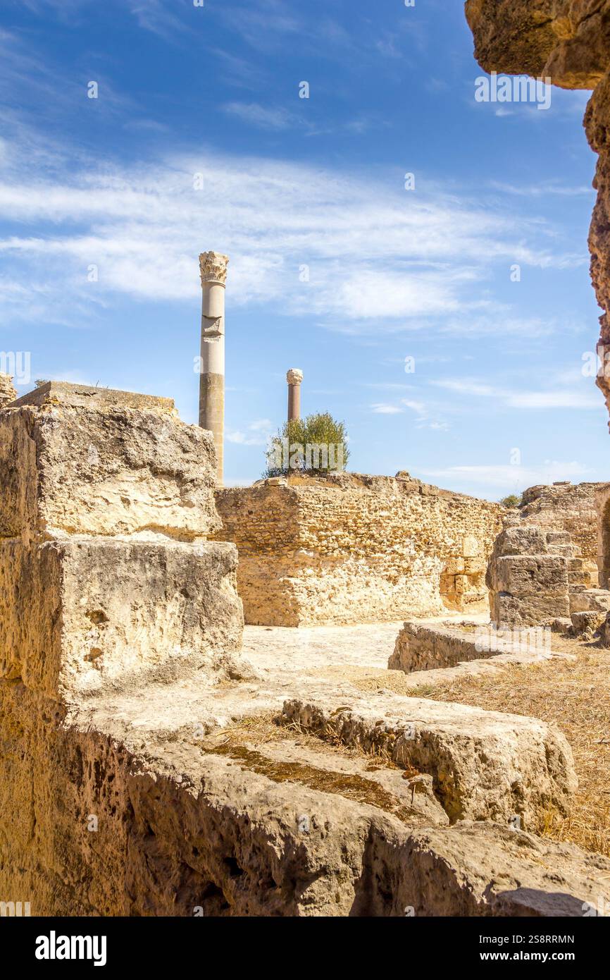 Archaeological site of Carthage, Tunisia Stock Photo - Alamy
