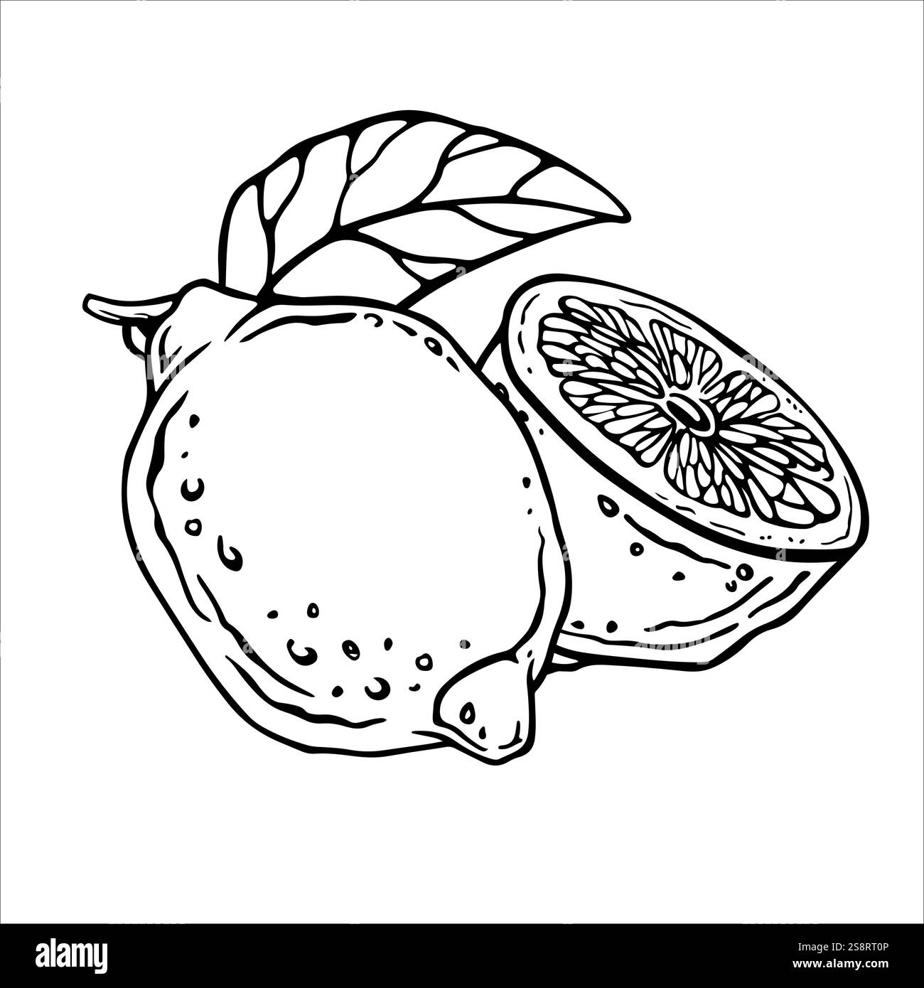 Lemon. Black and white ink graphic composition with whole fruit and ...