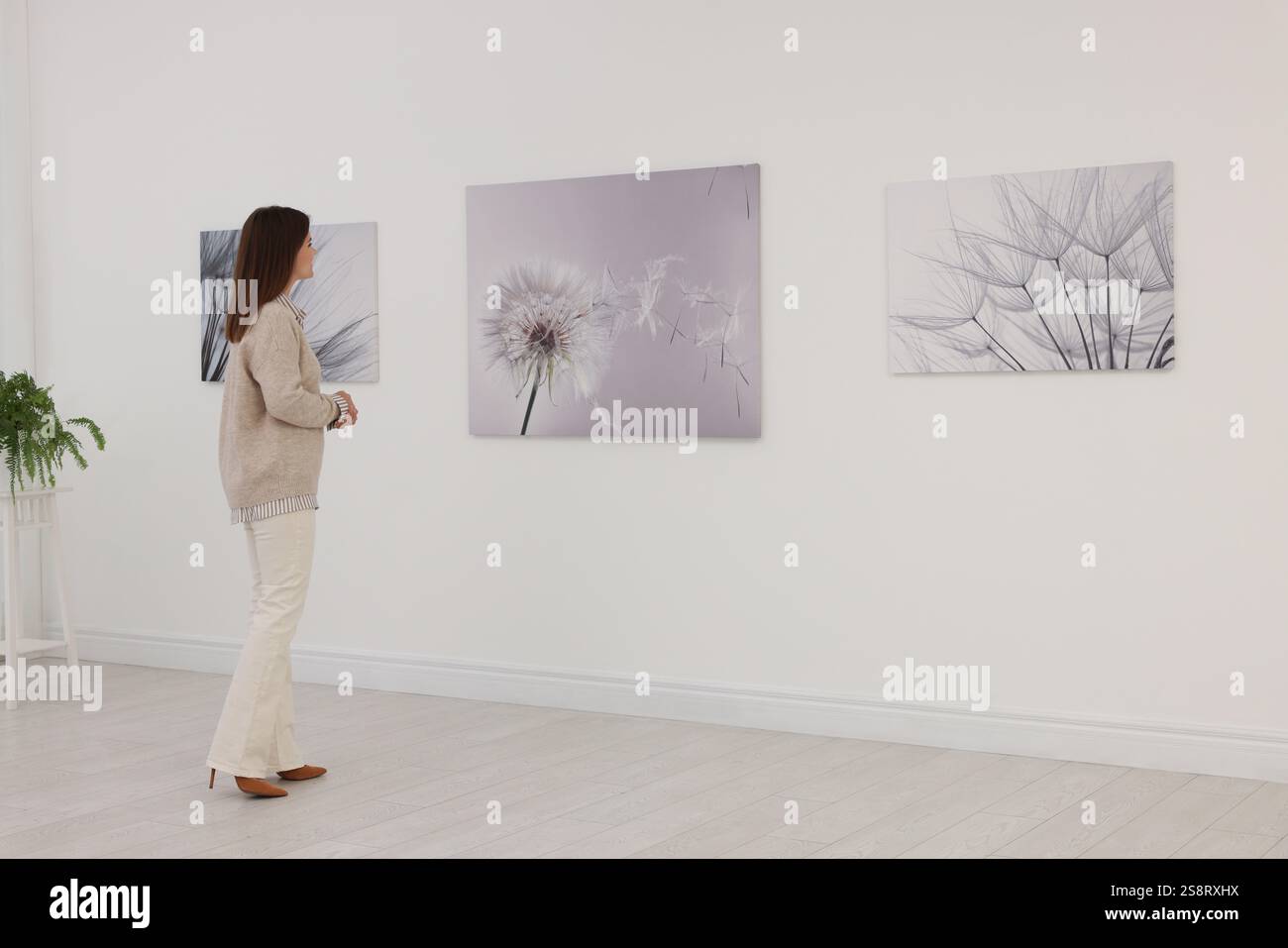 Woman studying beautiful artwork in modern gallery Stock Photo - Alamy
