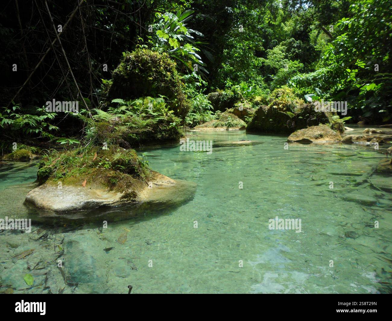 Clear waterriver hi-res stock photography and images - Alamy