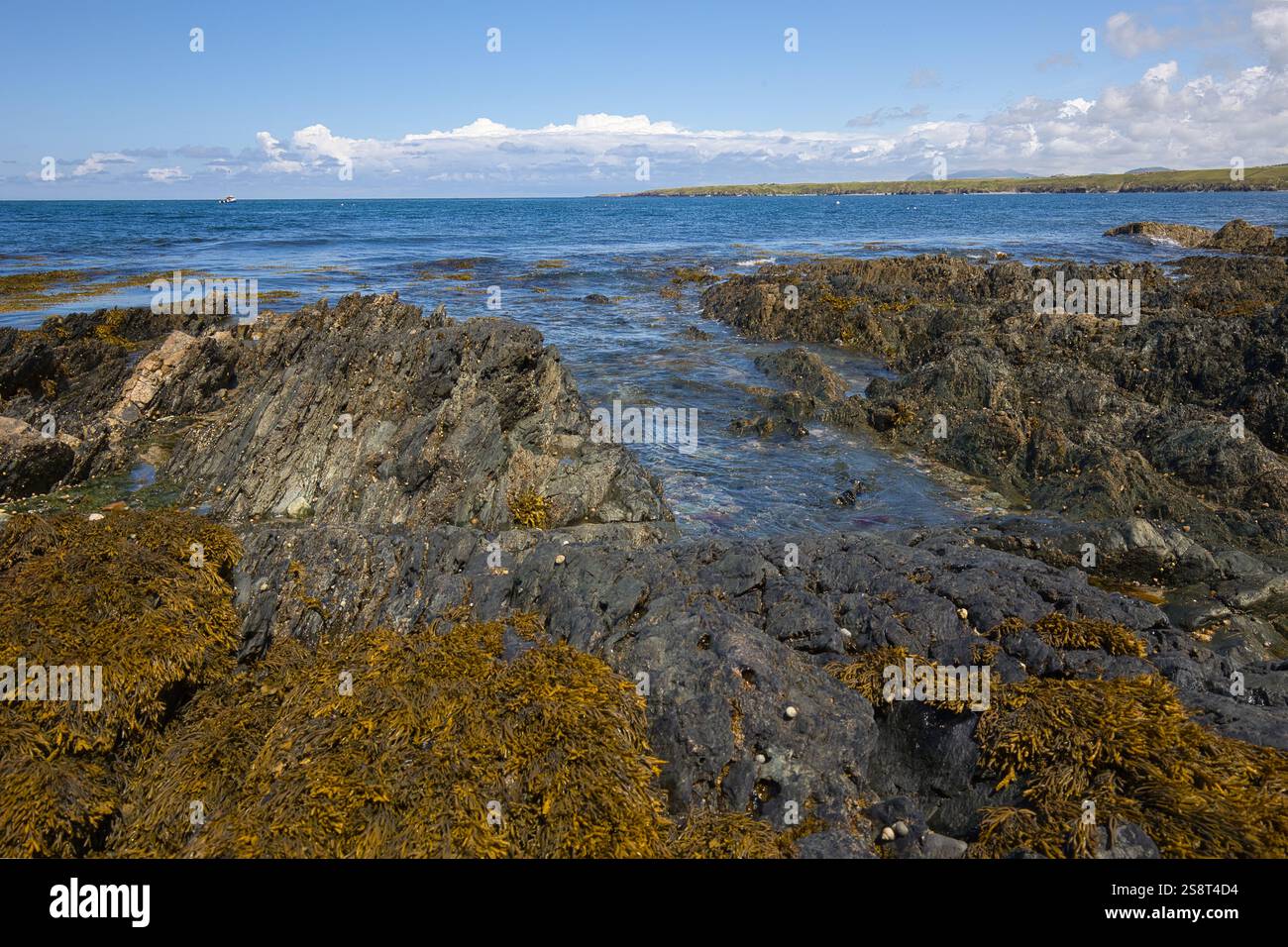 Rugged rocks on the Welsh coast Stock Photo - Alamy