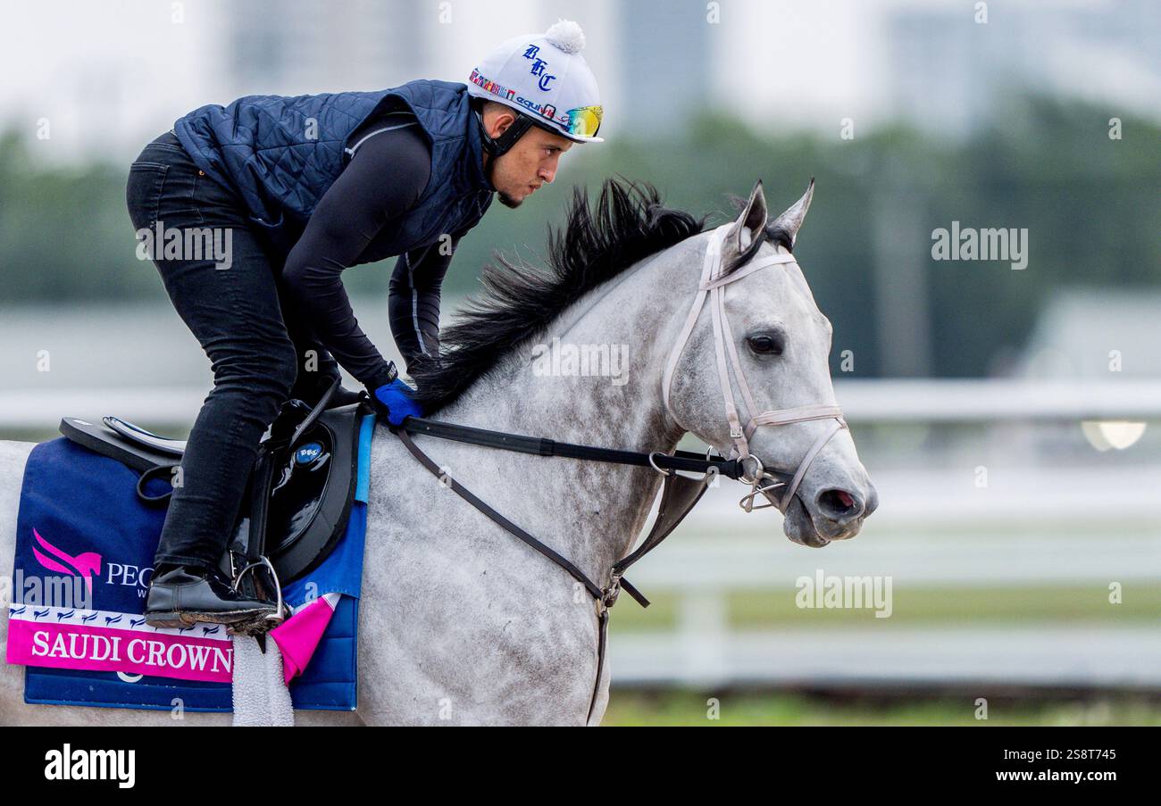 Hallandale Beach, USA. 23rd Jan, 2025. January 23, 2025, Hallandale ...