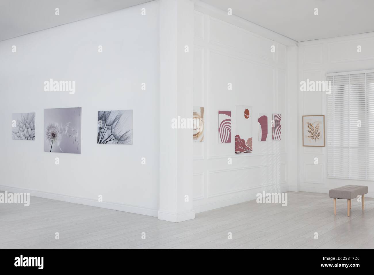 Interior of modern art gallery with beautiful paintings Stock Photo - Alamy