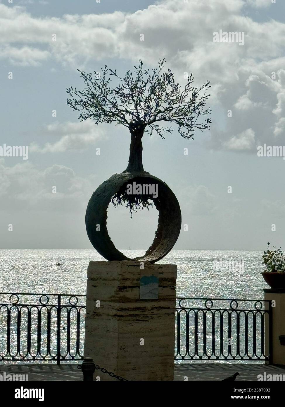 The tree of life in Amalfi coast Stock Photo - Alamy