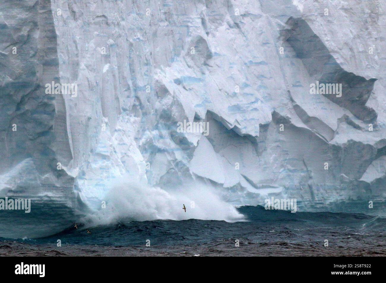 ist mit mehr als 4000 km² der aktuell größte Eisberg der Welt (Stand ...