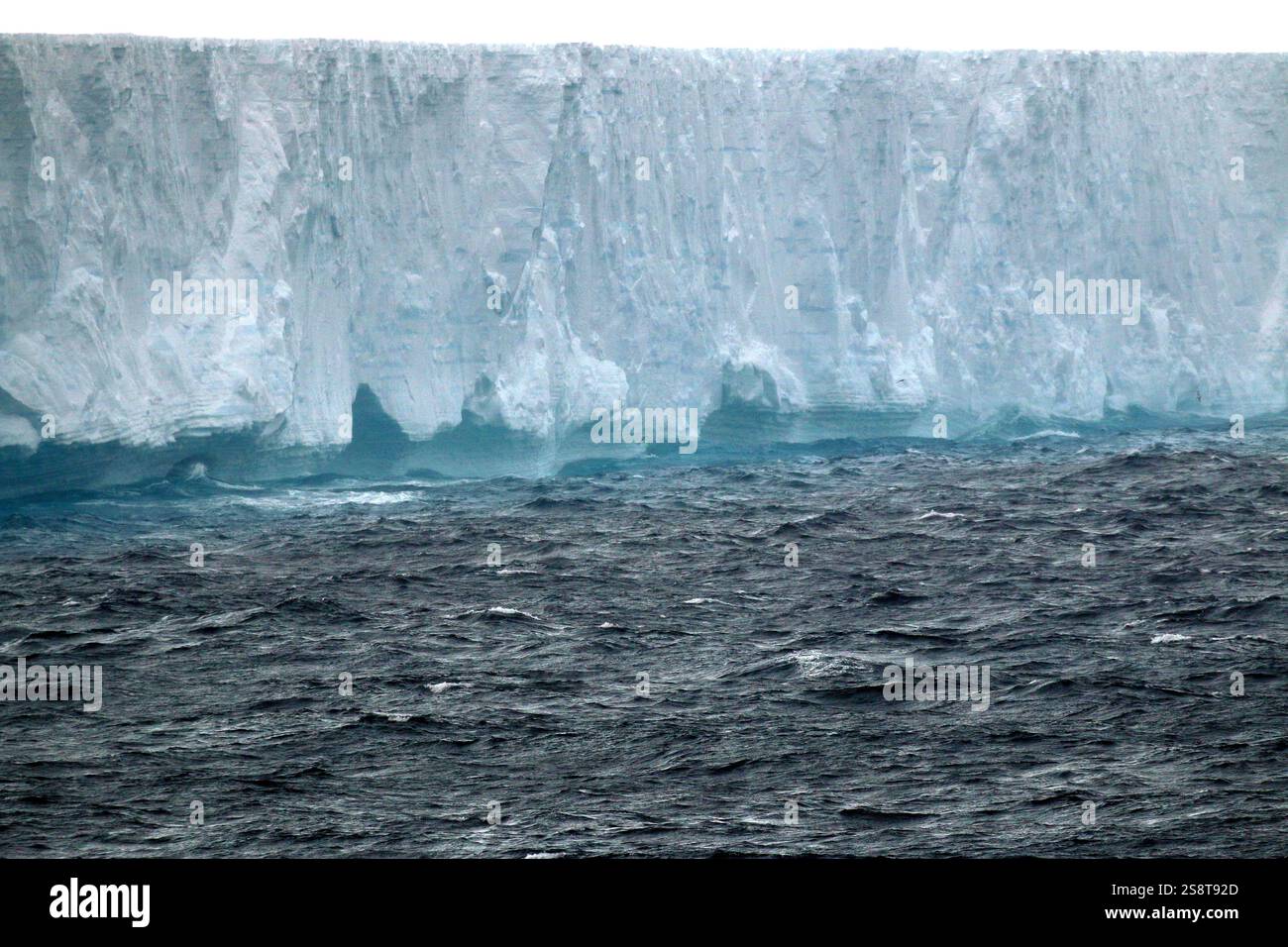 ist mit mehr als 4000 km² der aktuell größte Eisberg der Welt (Stand ...