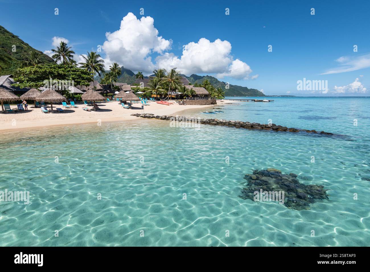 Moorea tropical beach landscape, French Polynesia Stock Photo - Alamy