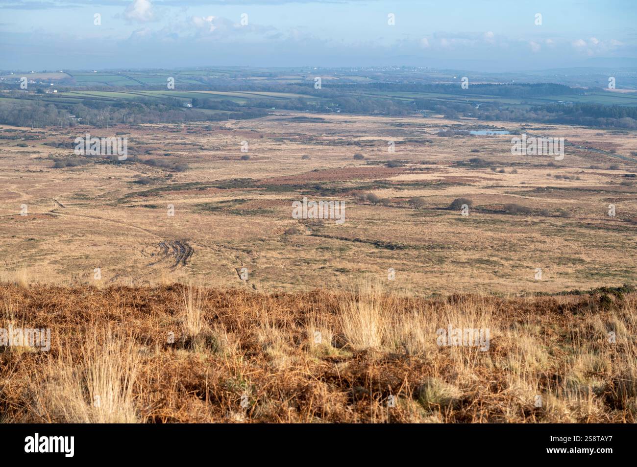 View of Gower common and Broad Pool from east of Athur's Stone on Cefn ...