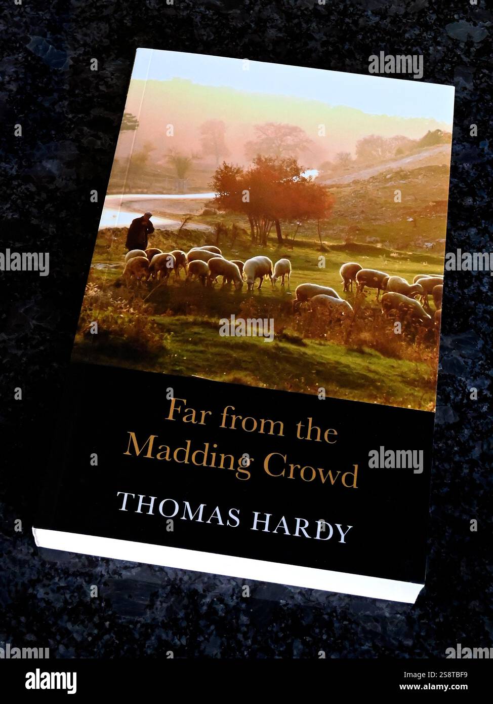 Far from the madding crowd book hi-res stock photography and images - Alamy