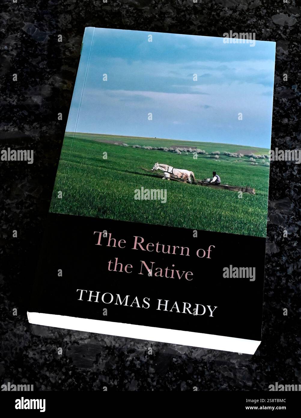 Book cover. "The Return of the Native" by Thomas Hardy Stock Photo - Alamy
