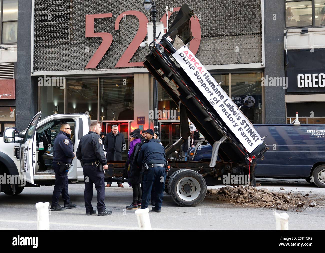 New York, United States. 23rd Jan, 2025. A PETA activist is arrested by ...