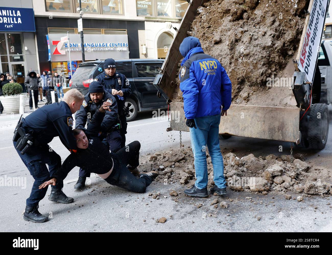 A PETA activist is arrested by NYPD Police Officers when he assists in ...