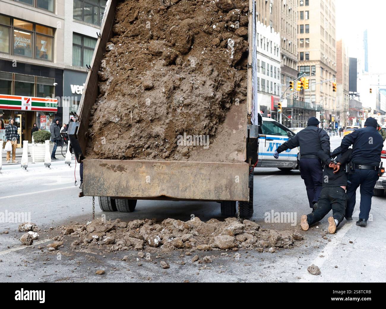 New York, United States. 23rd Jan, 2025. A PETA activist is arrested by ...