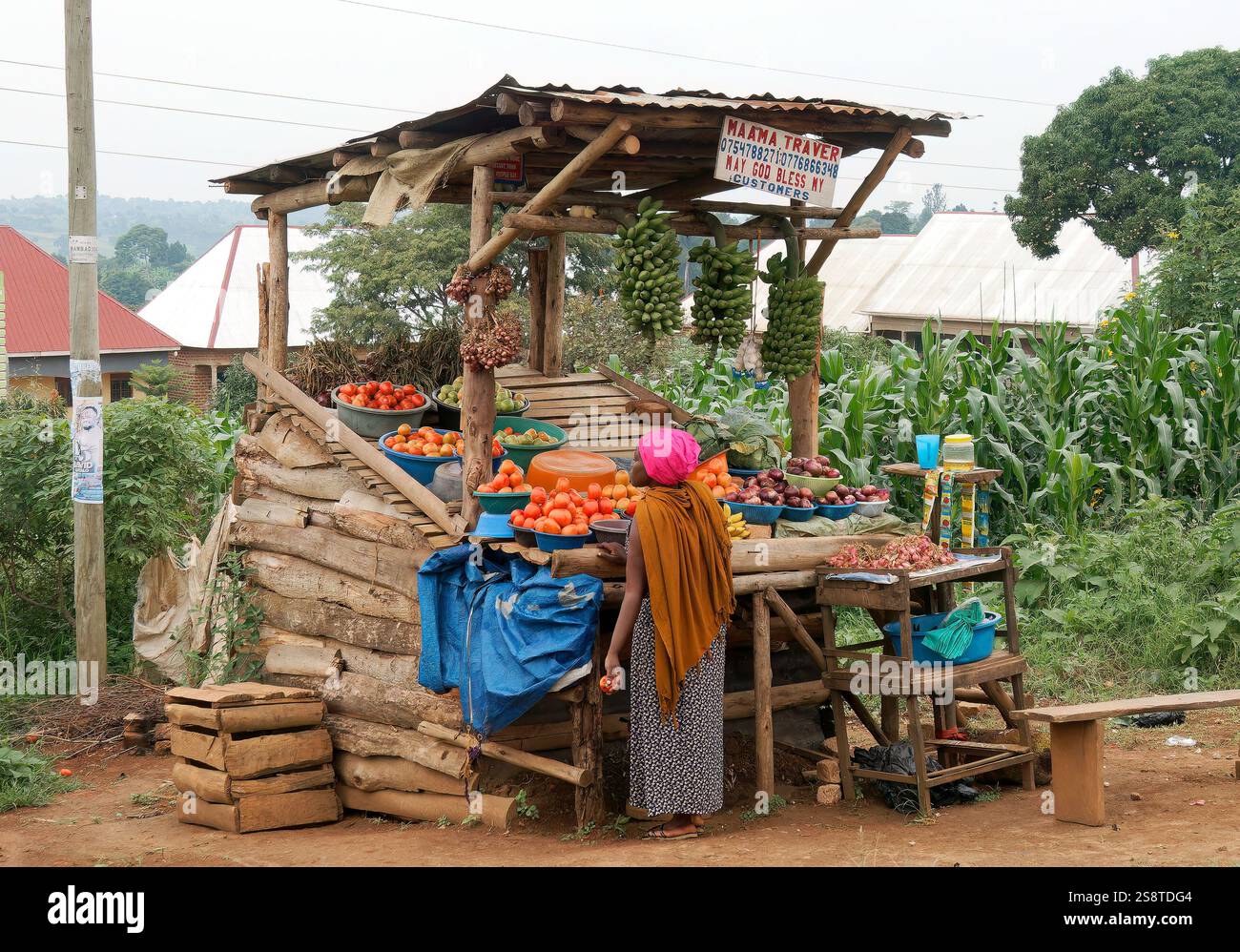 fruit and vegetable vendor, Uganda, East Africa Stock Photo - Alamy