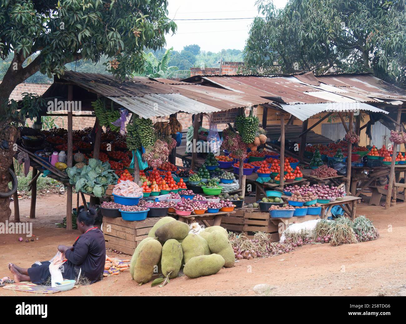 fruit and vegetable vendor, Uganda, East Africa Stock Photo - Alamy