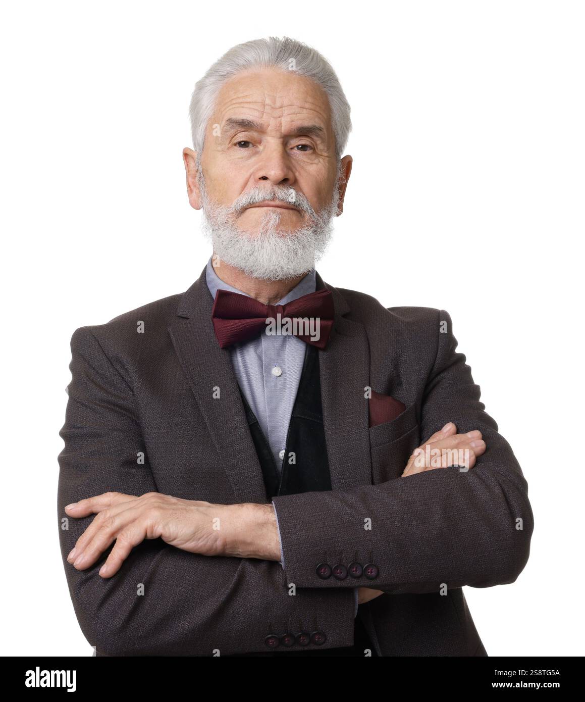 Portrait of elegant bearded gentleman on white background Stock Photo ...