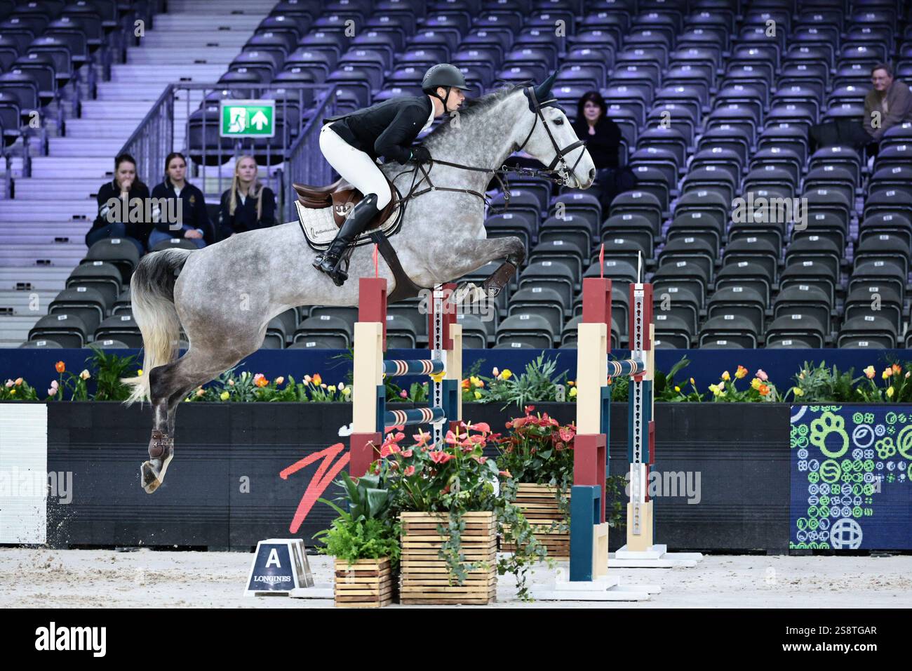 Dries van der Linden with Castello during the De Telegraaf Prize 1.35m ...