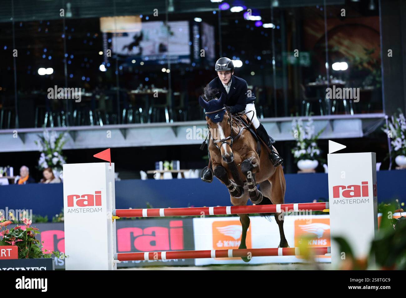 Quinten ter Harmsel with Geronimo E.B. during the De Telegraaf Prize 1 ...