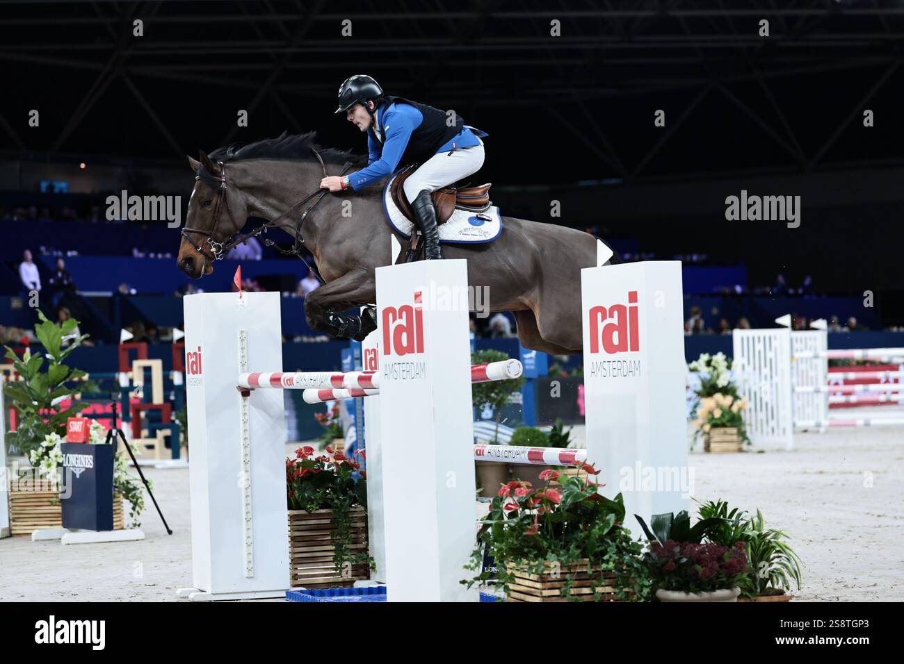 Yves Willems of the Netherlands with Highway during the Anemone Horse ...