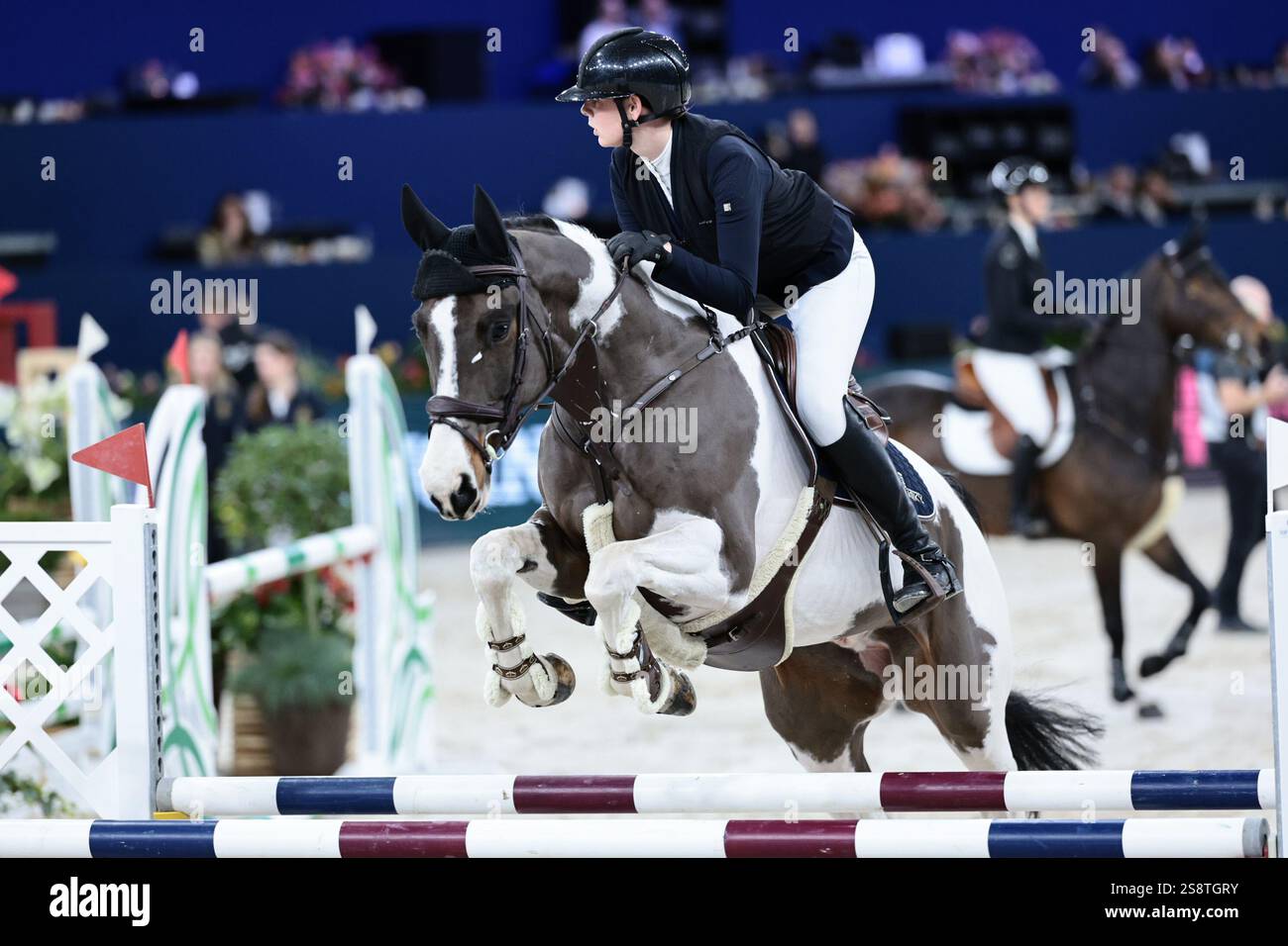 Ilse Vedder with Rainbow-K van 't Kattenheye during the Aeres MBO ...