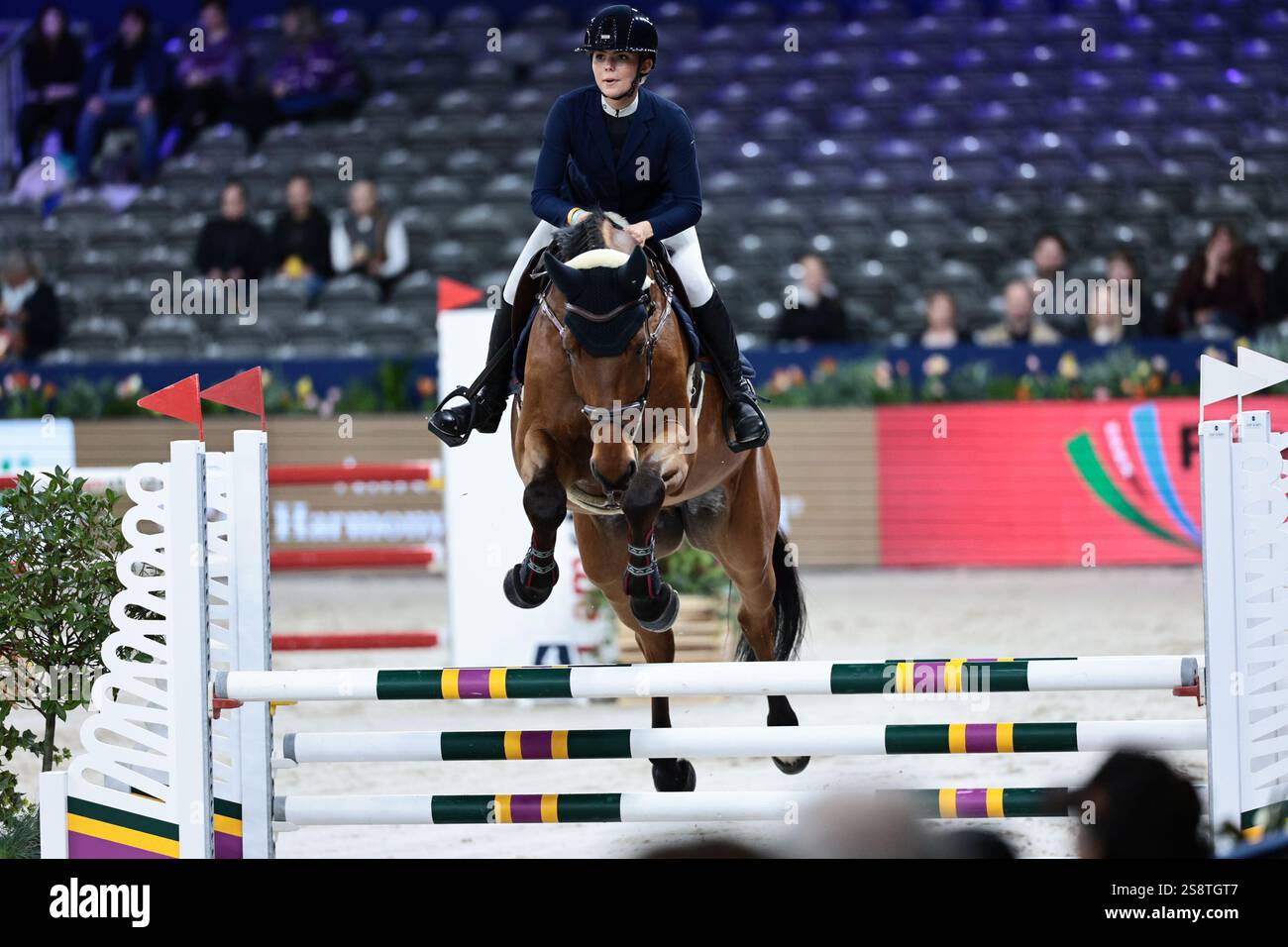 Senna horich hi-res stock photography and images - Alamy