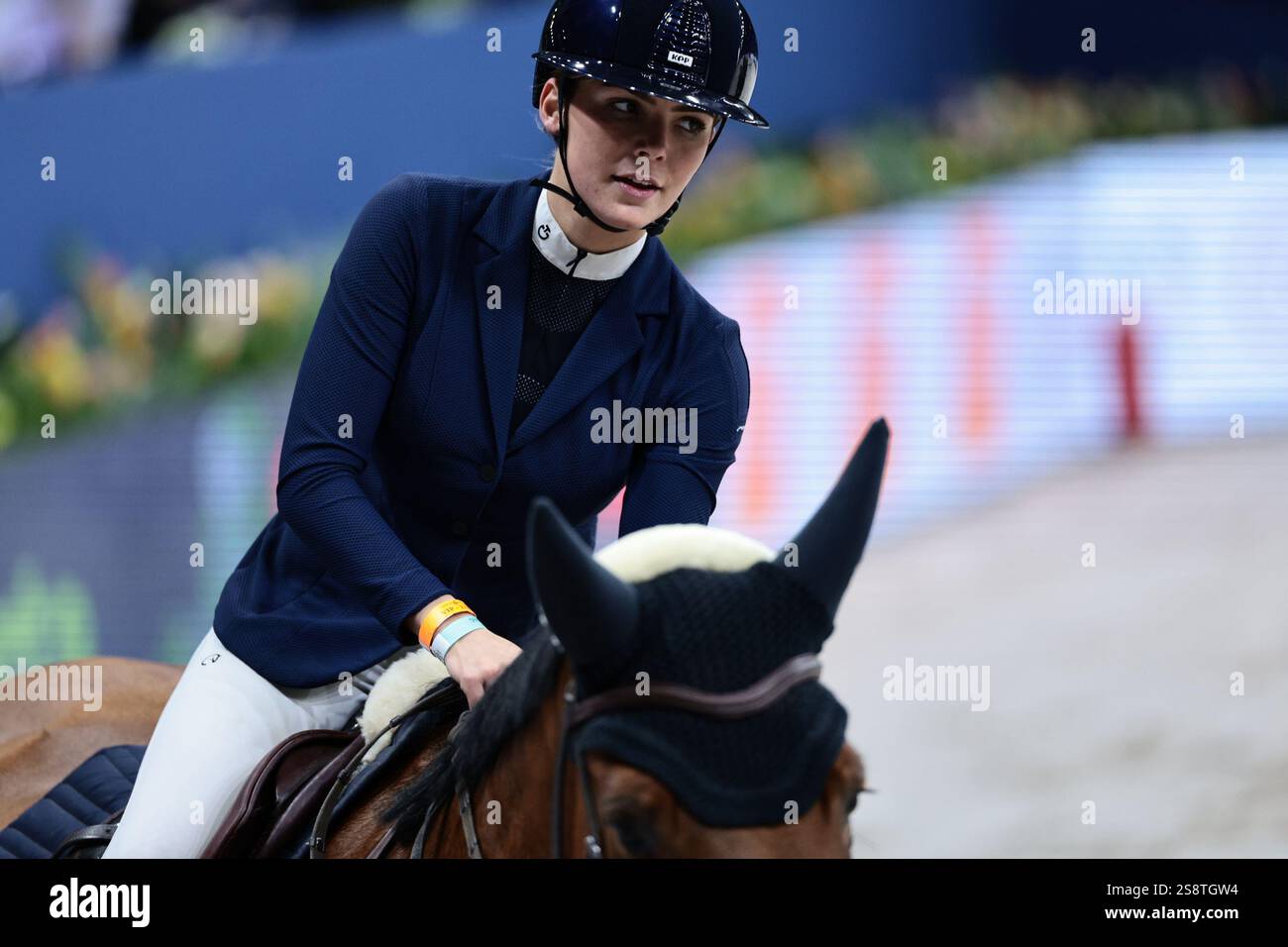 Senna horich hi-res stock photography and images - Alamy