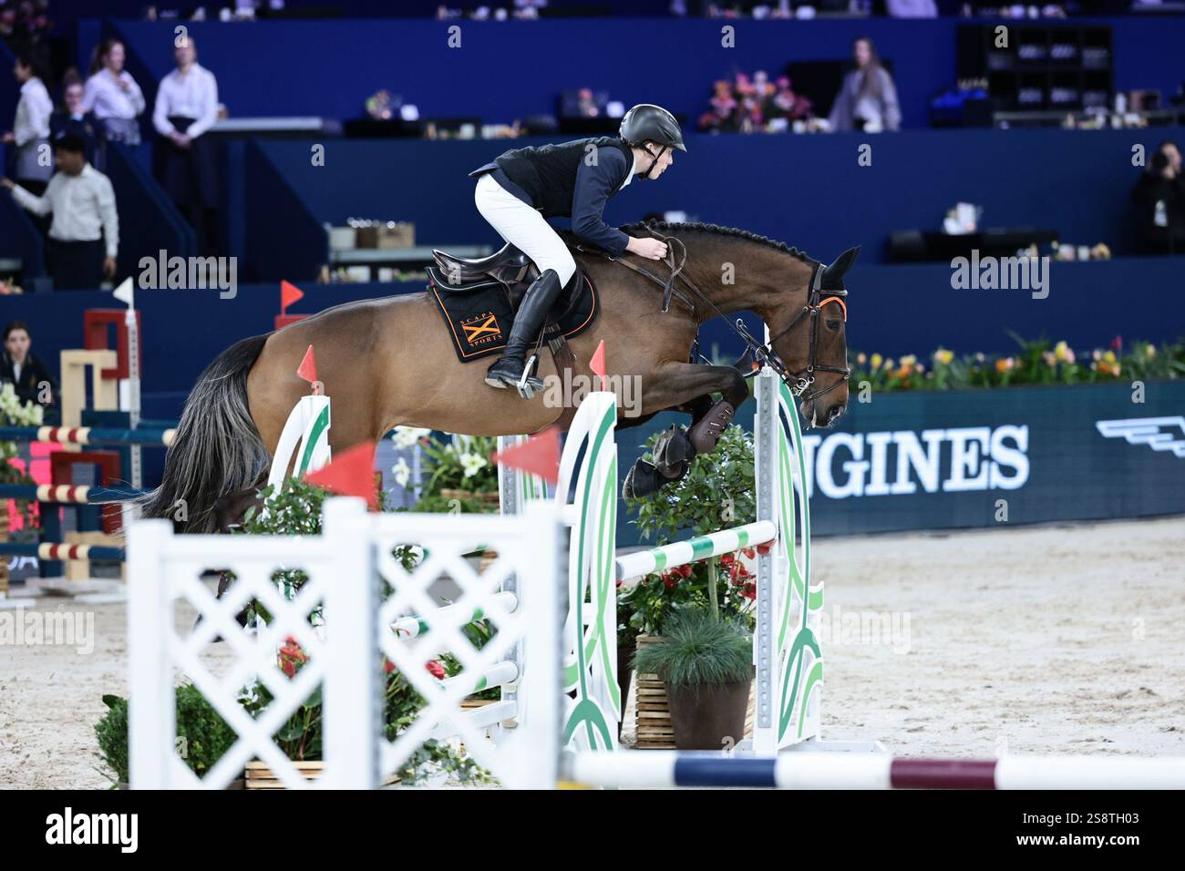 Tieme Engelen with Torry during the Aeres MBO Barneveld Prize 1.10m at ...
